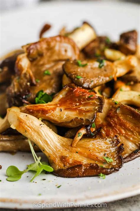 Top 3 Oyster Mushroom Recipes