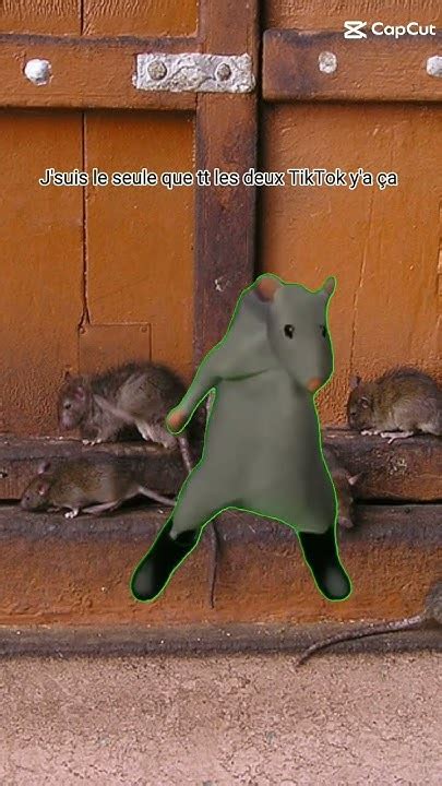 Giga Rat😂 Gigachad Youtube