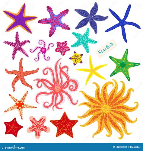 Sunflower Banner Clipart Starfish