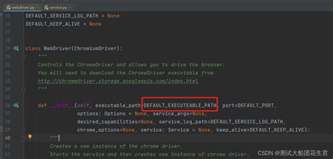 Selenium使用 Webdriverchrome 报错，找不到执行文件的解决方法（一） Csdn博客