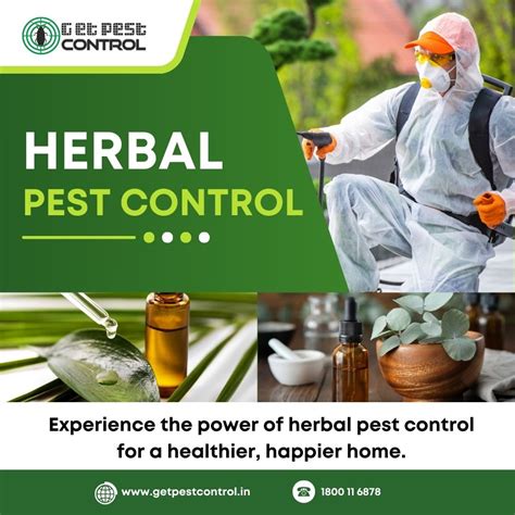 Herbal Pest Control Services In Bangalore Safe And Eco Friendly