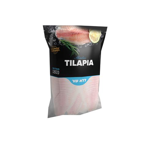 פילה לברק ים תיכון בלדי