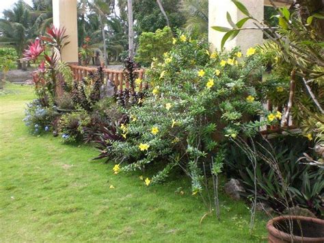 Isla Polillo Beach Resort Beach Pictures And Reviews Tripadvisor