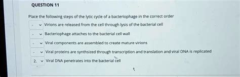 Solved Place The Following Steps Of The Lytic Cycle Of Bacteriophage In The Correct Order 1