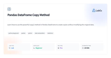 Mastering Pandas Dataframe Copy Method Labex