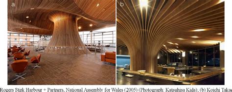 Figure 1 From Funicular Funnel She Lls Semantic Scholar