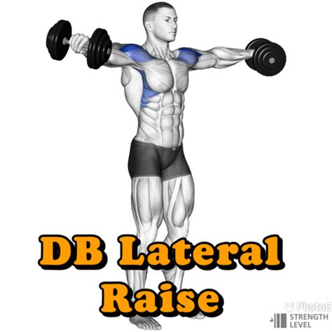 Create A Shoulder Exercise Tier List Tiermaker