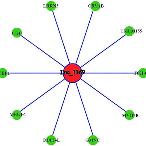 Coding Non Coding Gene Co Expression Network Of Lnc1708 The