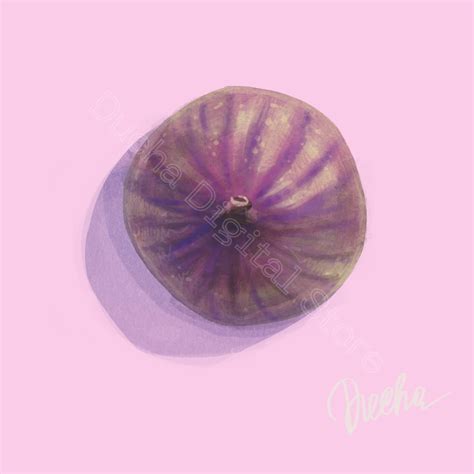 Fig Digital Artwork Images PNG DPI Hand Drawn Etsy