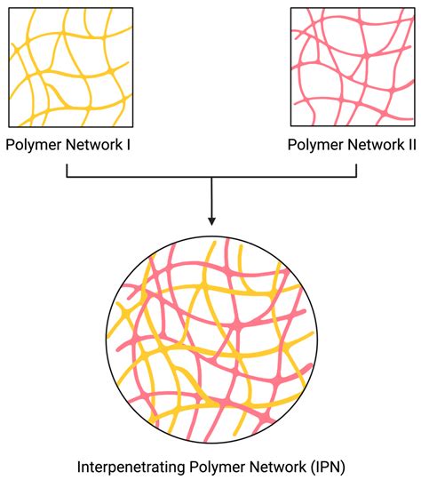 Characterization Methods To Determine Interpenetrating Polymer Network Ipn In Hydrogels