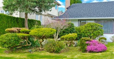 Toronto Native Trees Local Trees Toronto Local Arborist