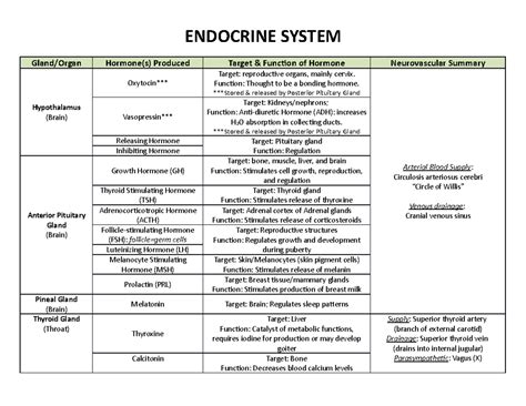 Endocrine Glands Functions