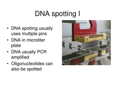 Ppt Genomics I The Transcriptome Powerpoint Presentation Free