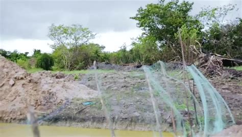 Video Benjamin Obeng Posted On Linkedin