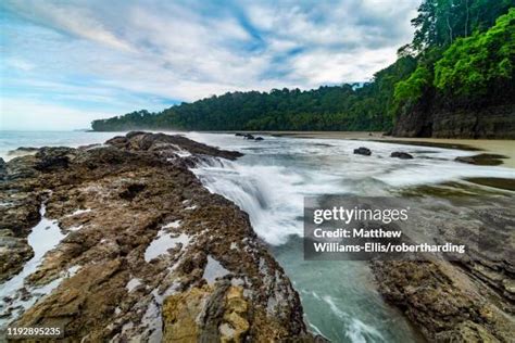 Ballena Marine National Park Photos And Premium High Res Pictures