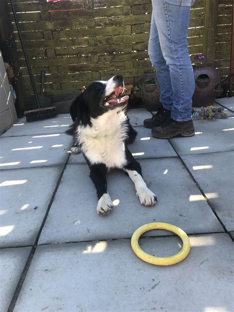 Doechii Rapper R Blackcelebrity