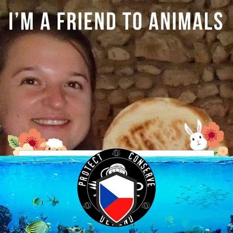 Štít ‼️ Komunisté Ze Stačilo Mají V Programu Obnovu Pohraniční Policie ‼️ I Když V Případě