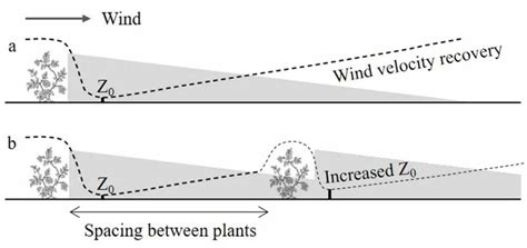Aerodynamic Roughness Length On The Rough Surfaces Including A The Download Scientific