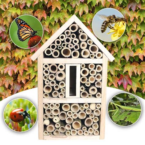 Bee House Bamboo Beekeeping Insect Bee House Wood Grandado