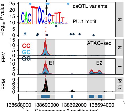 Figure 3 From Beyond Genetic Associations Transcriptional Regulation And Colocalisation With