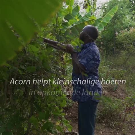 Michaël De Groot Posted On Linkedin