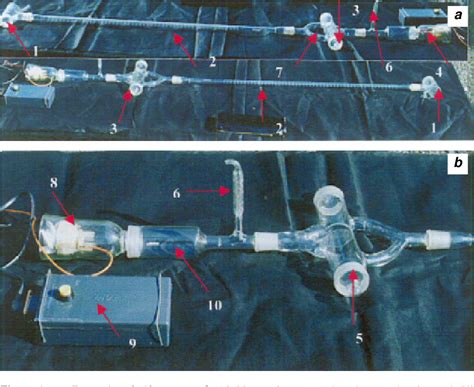 Figure 1 From Evidence For A Female Produced Sex Pheromone In The Banana Pseudostem Weevil
