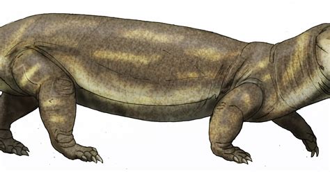 Shukernature A Dicynodont Depiction