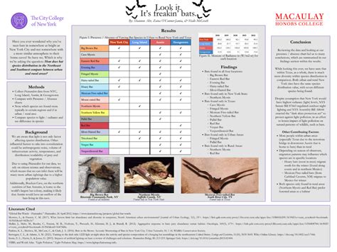 Bat Distribution Comparison In Rural And Urban Areas Steam Fest 2023