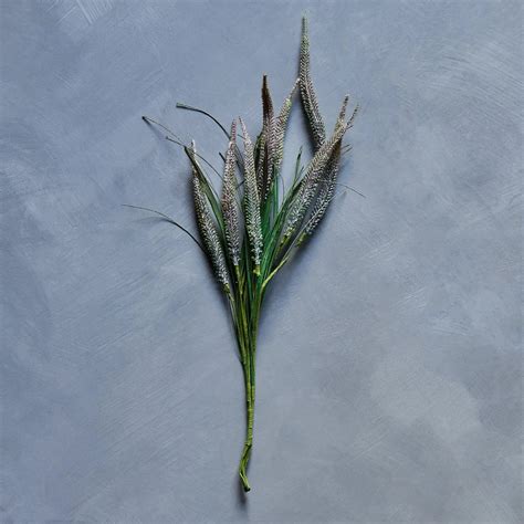 Veronica Stem Mauve House