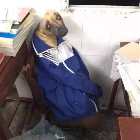 小明滚出去71 知乎