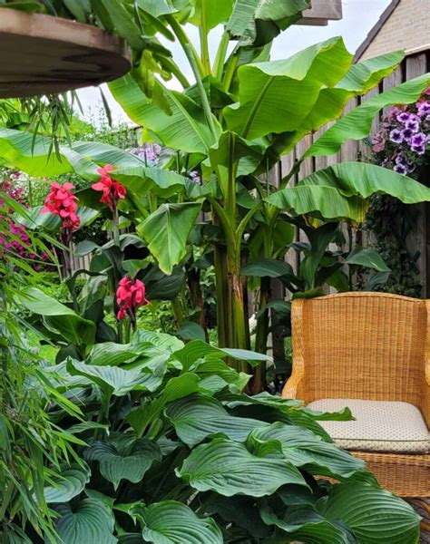 Tropische Tuinen Monte Palace Tropical Garden Madeira Voja Travel