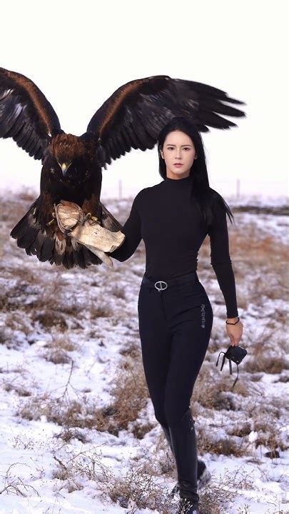 독수리와 누나 Youtube