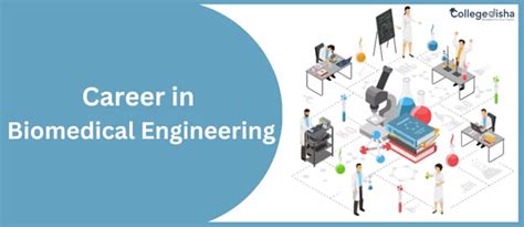 Career In Biomedical Engineering Bioengineering