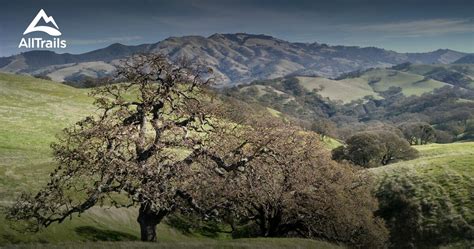 Best Trails Near Walnut Creek California Alltrails