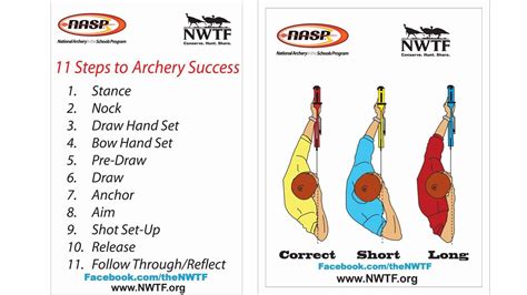 Parts Of A Bow Nasp At Jeanette Charlie Blog