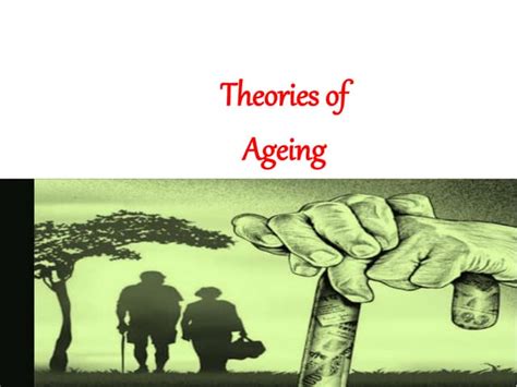 Theories Of Aging Programmed And Error Theories Ppt
