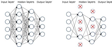Stride Dan Padding Dua Parameter Kunci Yang Bisa Bikin Meledak Akurasi Model Ai Mu By