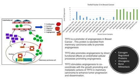 Rna Seq Ppt