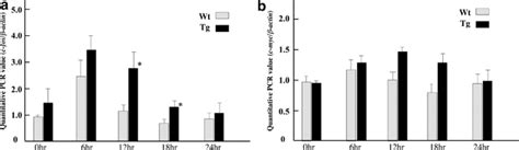 Expression Levels Of Cell Proliferation Marker Genes Following The Download Scientific Diagram