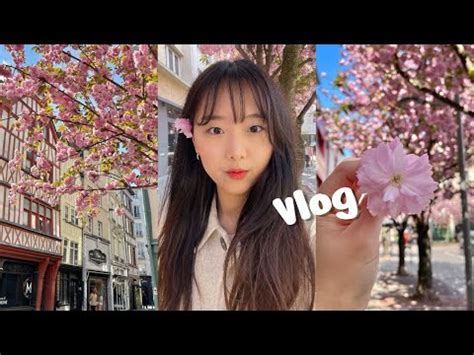 프랑스 루앙 교환학생 브이로그 이렇게 행복해도 되나 싶은 요즘 올망졸망 겹벚꽃 홀릭 동화 속 공원에서 빵크닉하기 디에페 당일치기 여행 YouTube