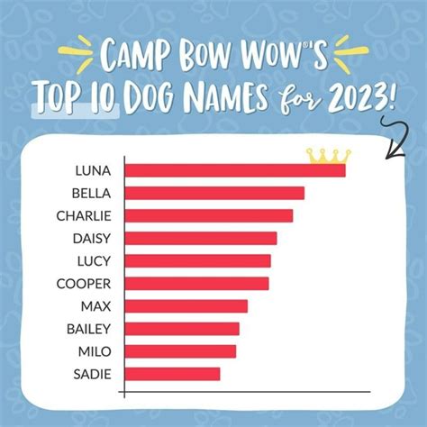 Is Your Pups Name Among The 10 Most Popular In 2023