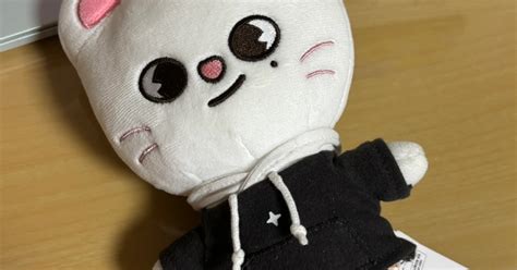 스키주 지니렛 오리지날 인형 스트레이키즈 스키즈 매직스쿨 굿즈 팔아요 삼천동1가 취미게임음반 당근 중고거래