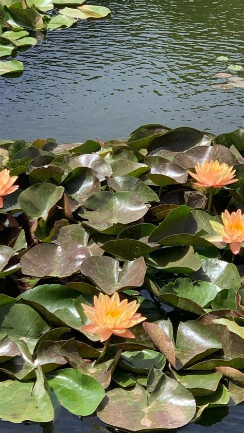 Ваши пины에 있는 Sofia님의 핀