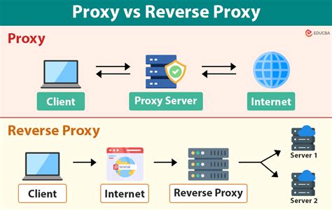 Proxy Vs Reverse Proxy Which Is Better For Security
