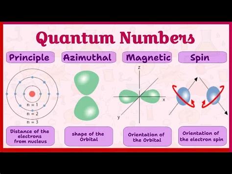 Magnetic Quantum Number Explained In Short Parikshapatr