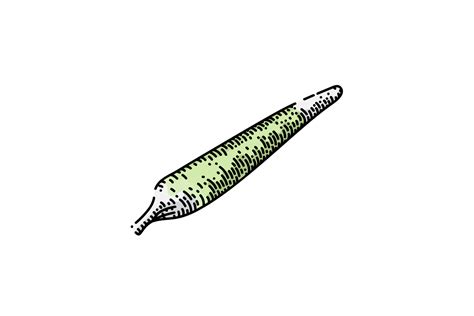 Weed Smoke Sketch Hand Drawn Vector Graphic By Pikepicture · Creative