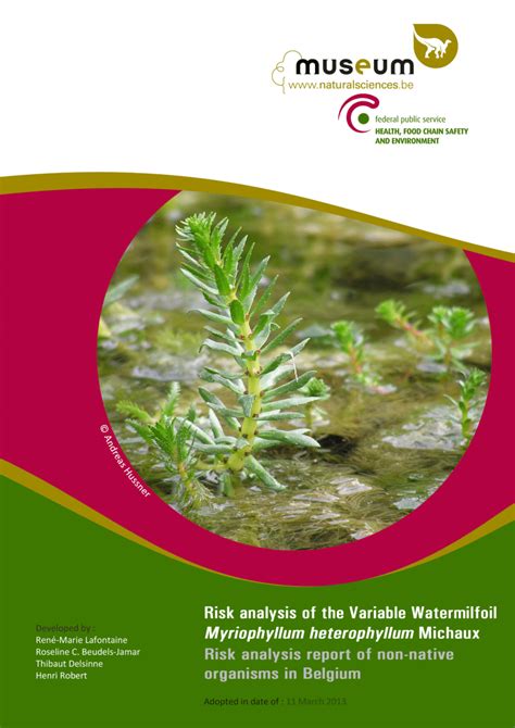 Pdf Risk Analysis Of The Variable Watermilfoil Myriophyllum