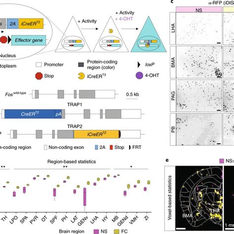 Trap2 Design And Characterization A Schematic Of Trap2 B Comparison Download Scientific