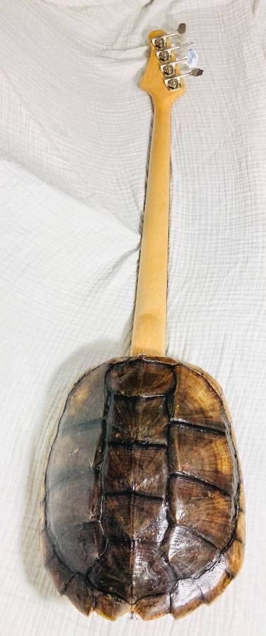 Turtle Shell Bass Guitar Ratbge