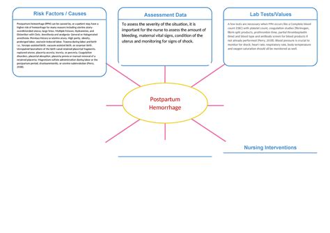 Reproduction 3 Isb Pph Concept Map Willhoit Risk Factors Causes